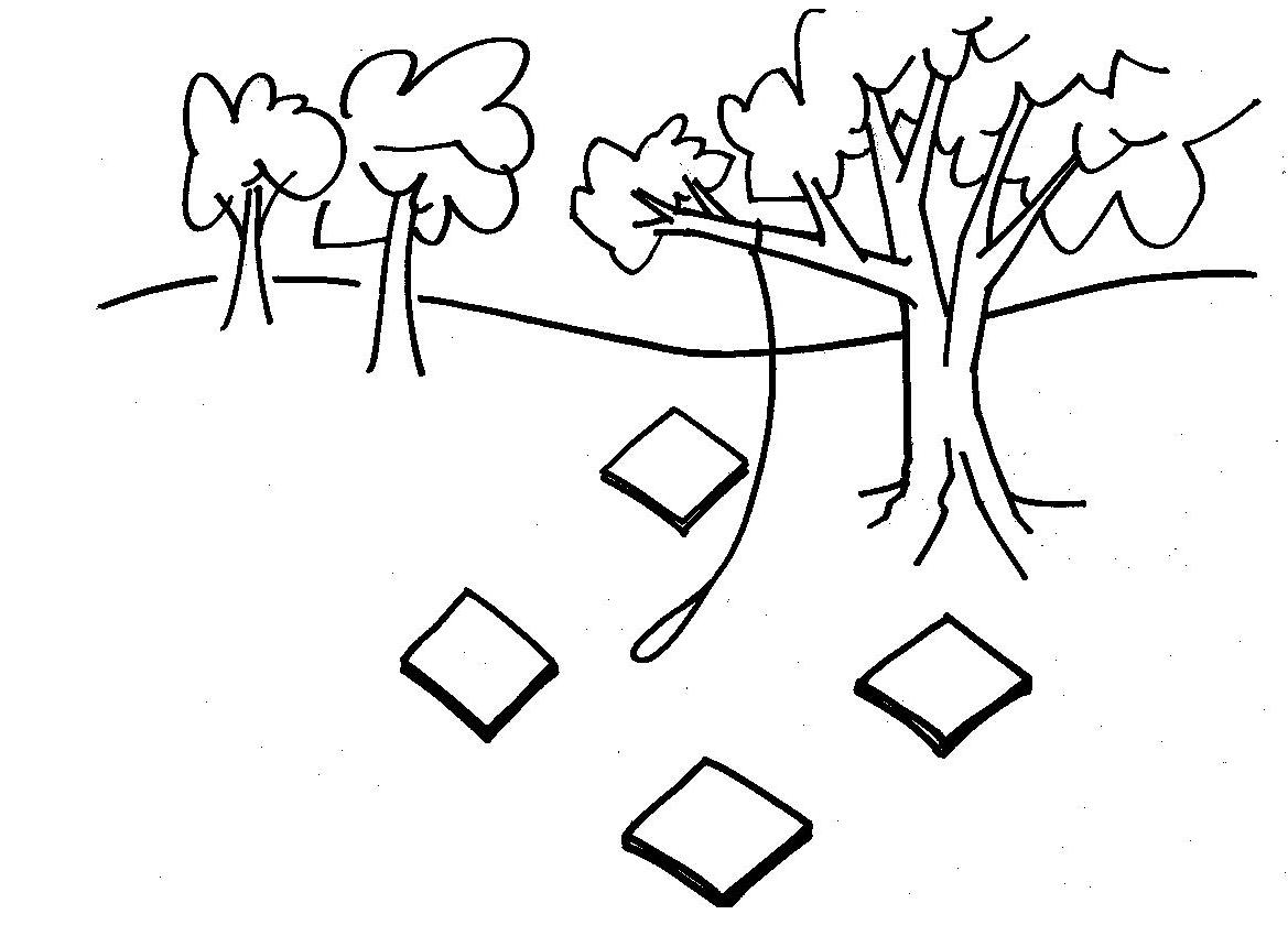 Low Challenge Elements - Common Ground Adventures