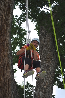 Recreational Tree Climbing - Common Ground Adventures